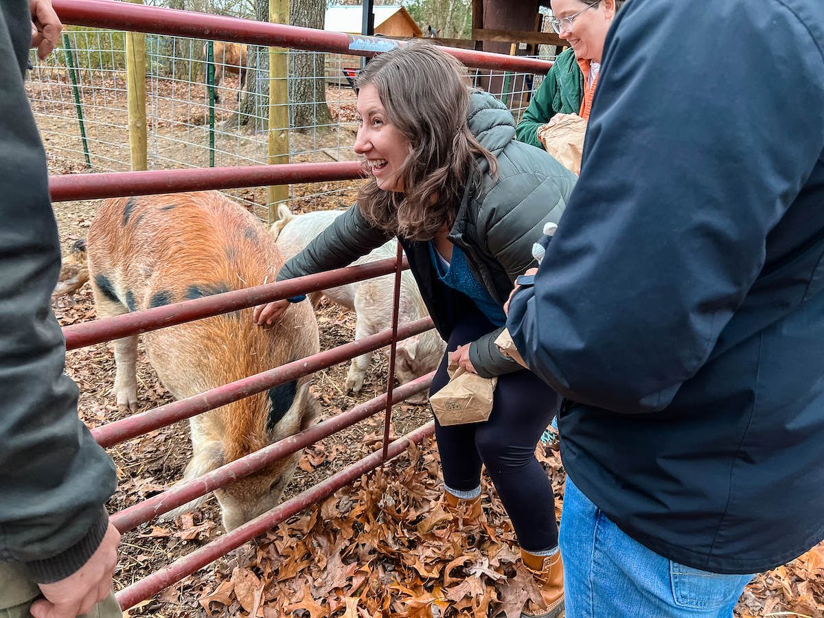 Pig Sponsor Spotlight: Rachel Reibach