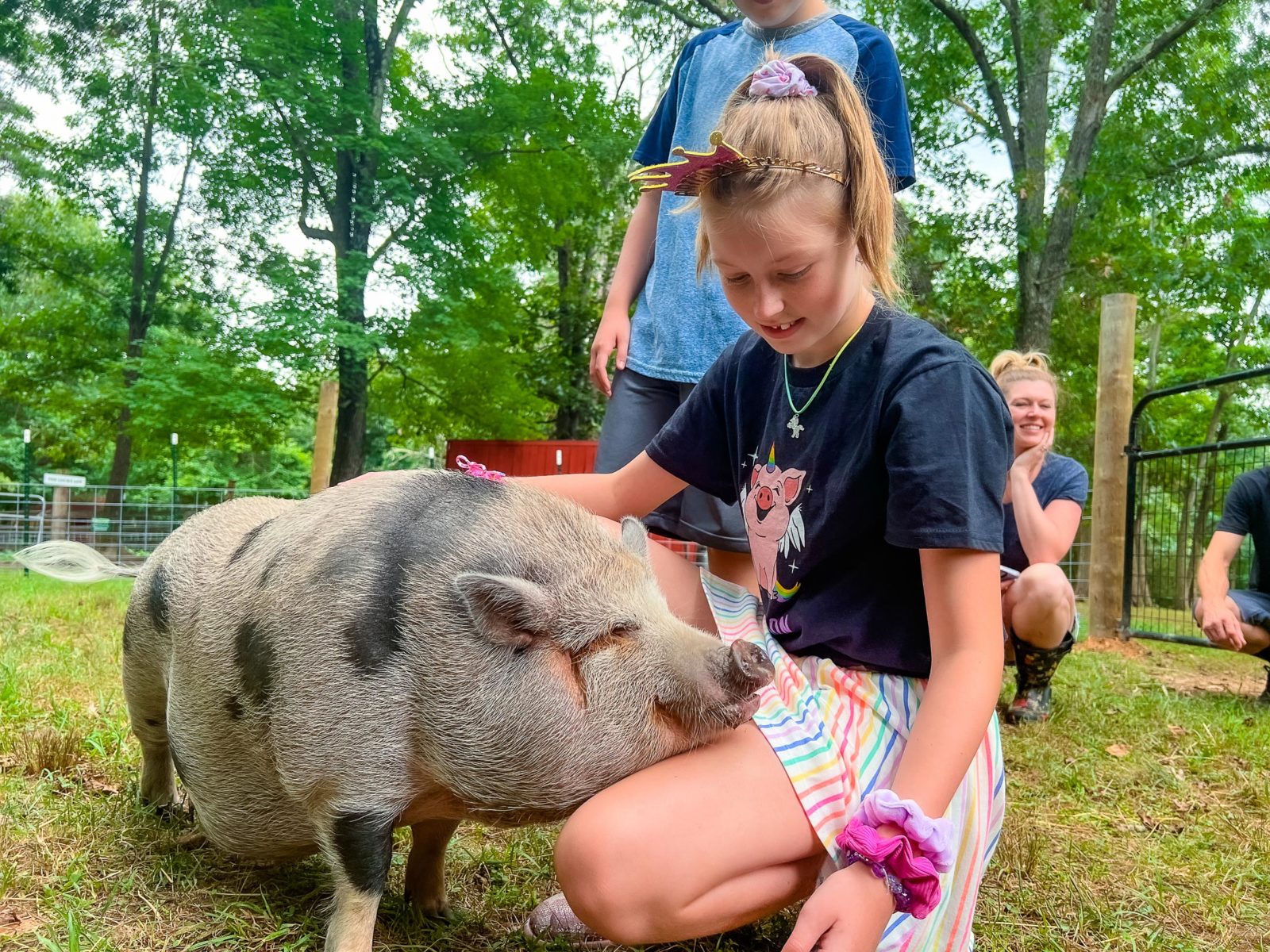 Guided Tours | Piggins and Banks - Nonprofit Pig Sanctuary in Virginia