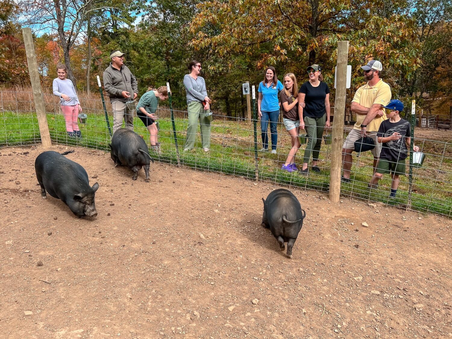 Guided Tours | Piggins and Banks - Nonprofit Pig Sanctuary in Virginia