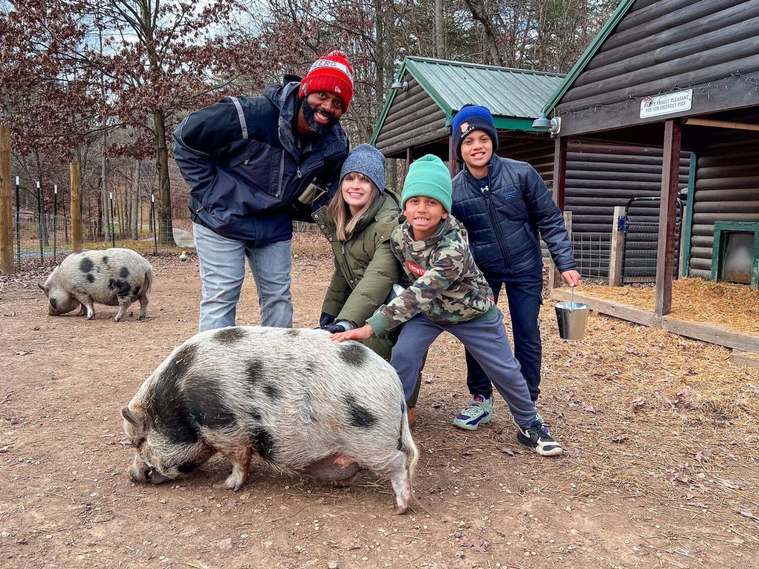 Guided Tours | Piggins and Banks - Nonprofit Pig Sanctuary in Virginia